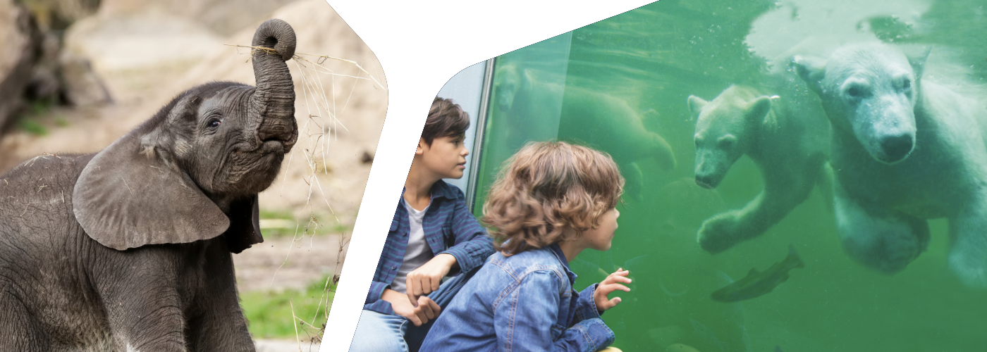 Ouwehands Zoo entdecken - Ouwehands Dierenpark