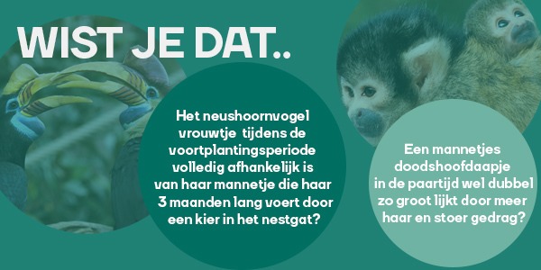 Brons - Ouwehands Dierenpark