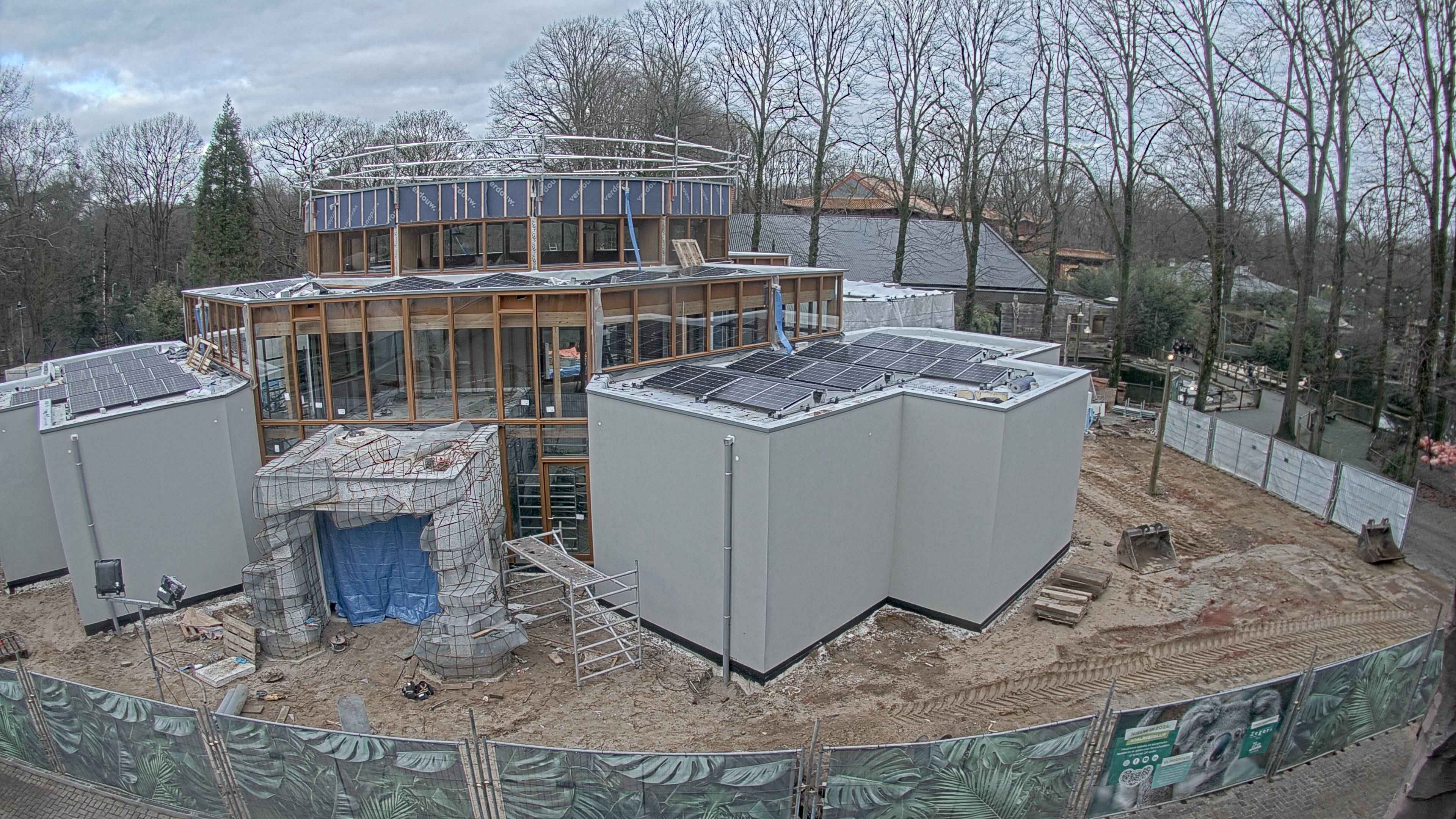 Bouw koalaverblijf in volle gang - Ouwehands Dierenpark