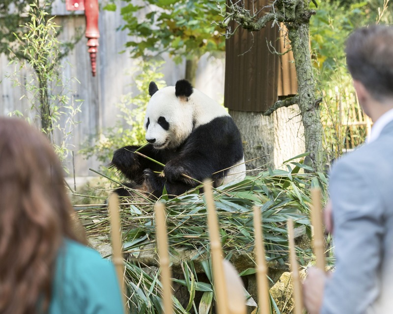 Zakelijk evenement in de dierentuin - Ouwehands Dierenpark