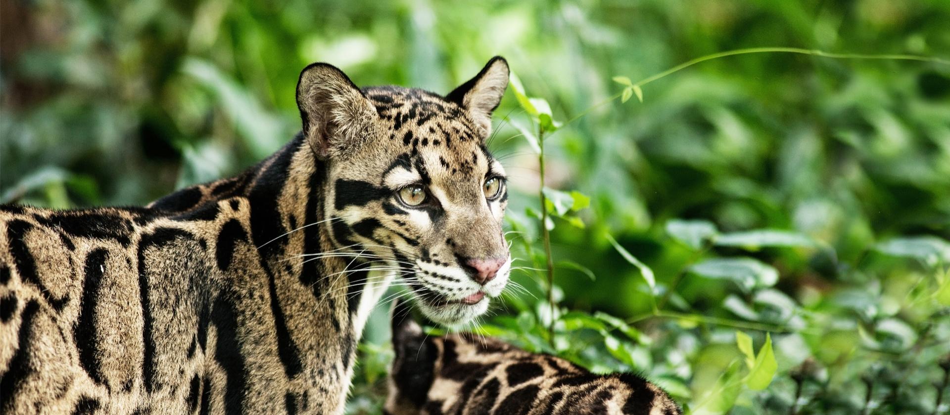 Zoo Avontuurlijk! - Ouwehands Dierenpark