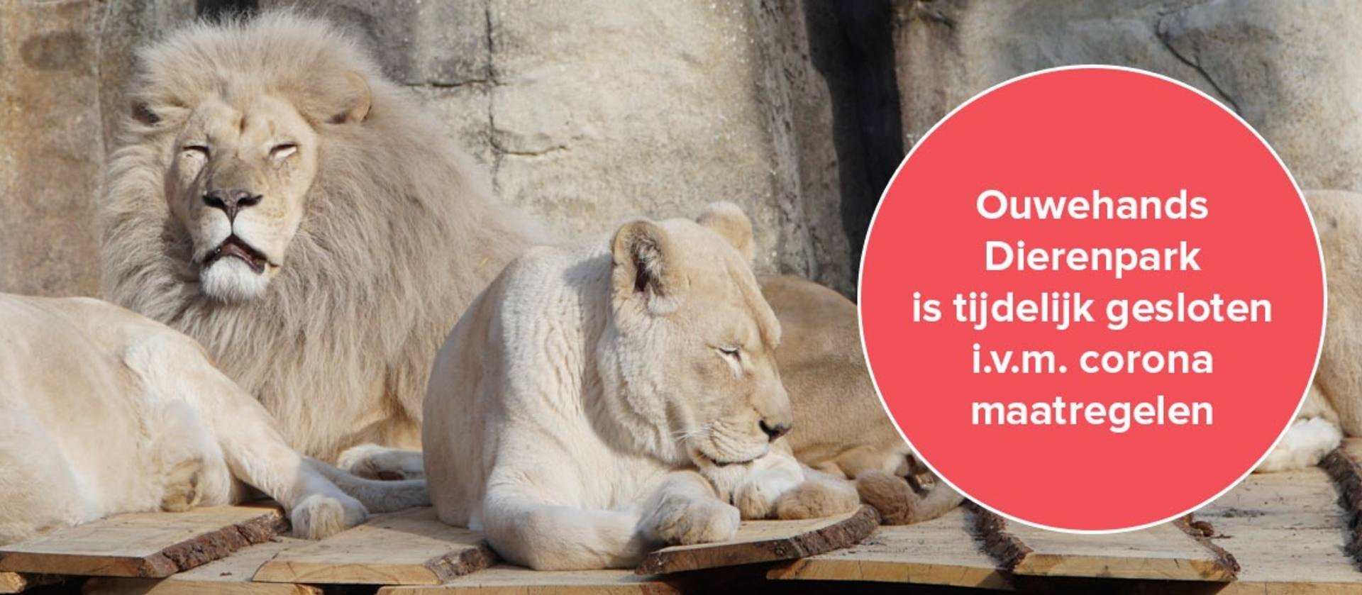 Vol dierbare ontmoetingen - Ouwehands Dierenpark