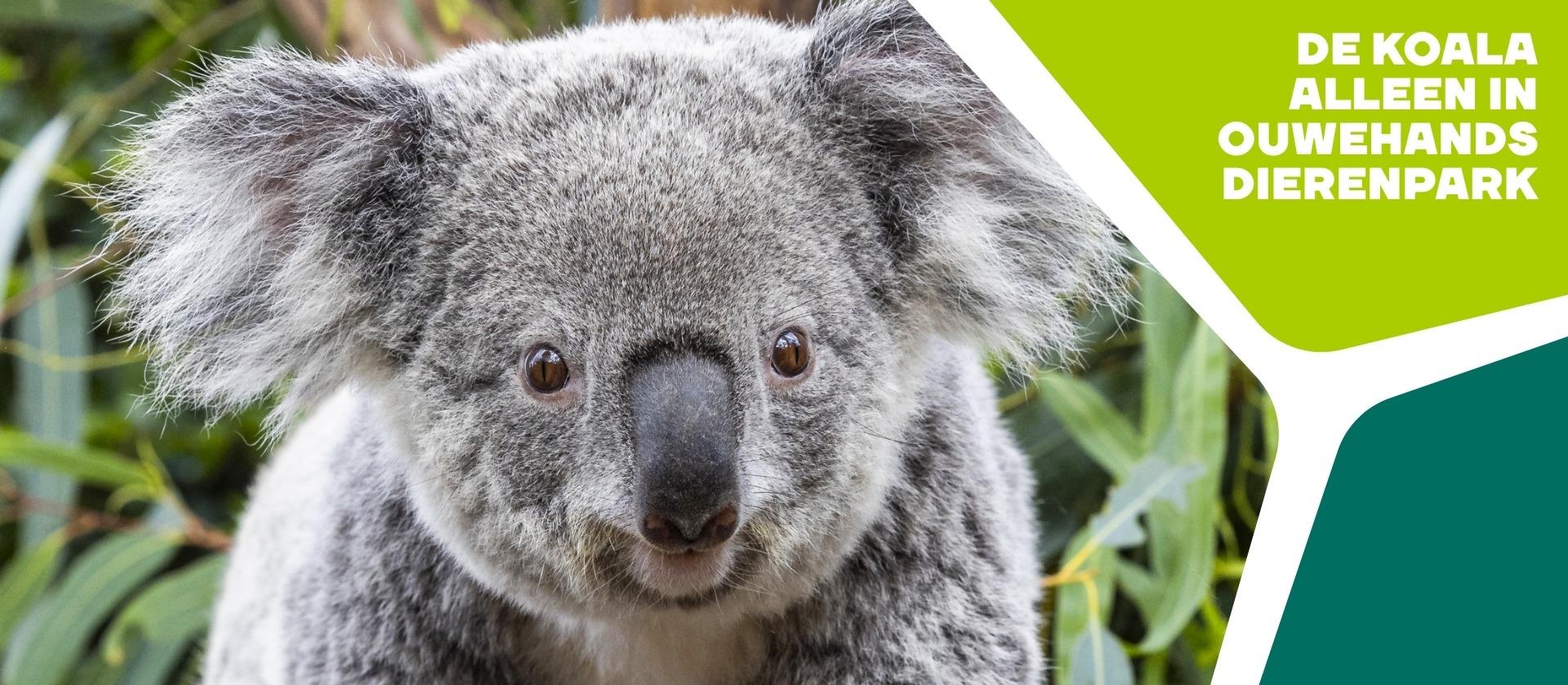 De natuur roept - Ouwehands Dierenpark