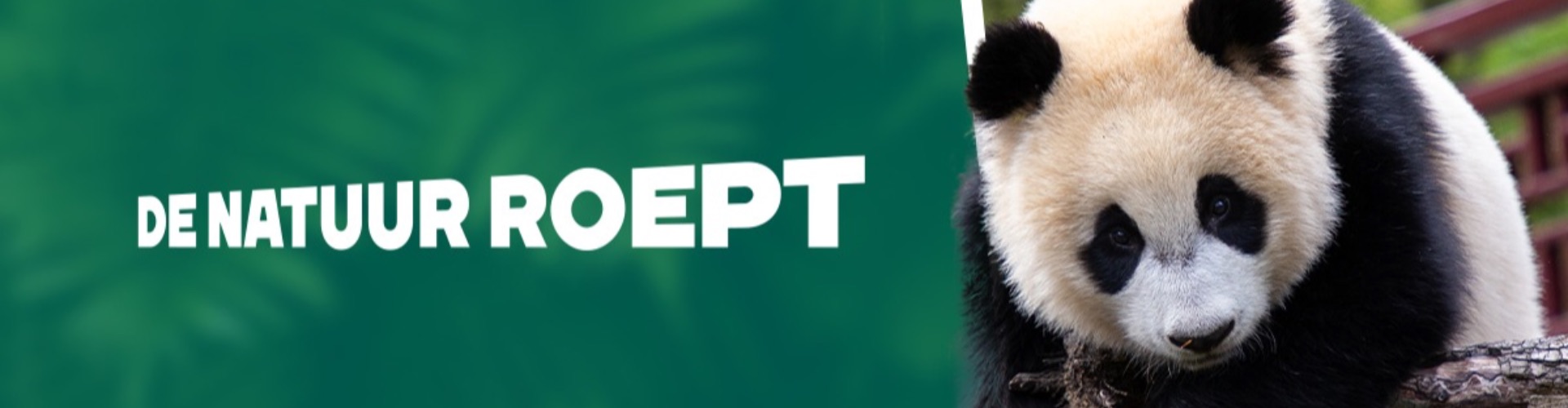 Abonnement op dierentuin - Ouwehands Dierenpark