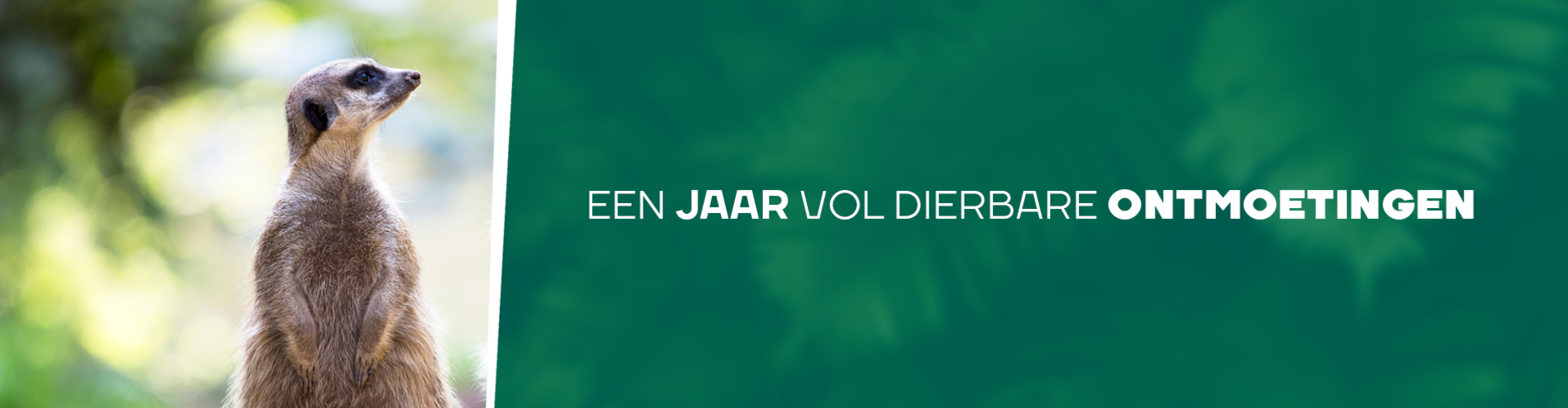 Abonnement op dierentuin - Ouwehands Dierenpark