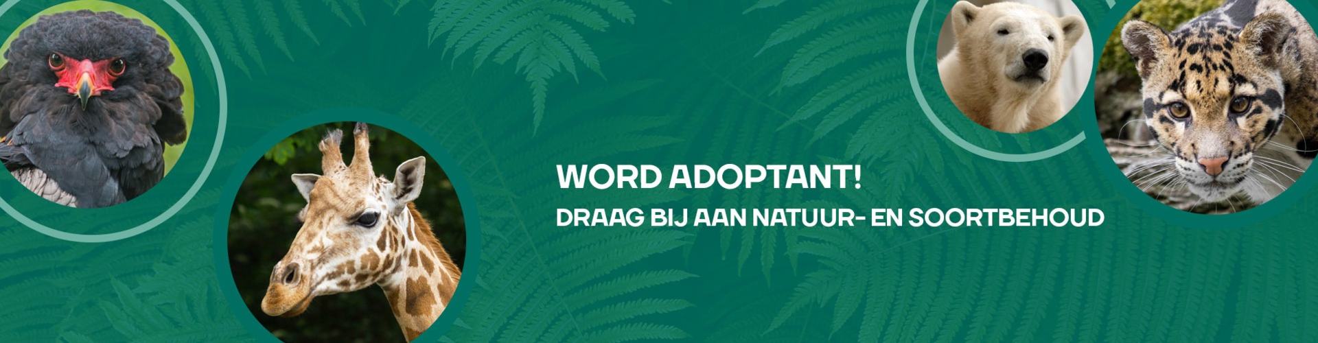 Dier adopteren - Ouwehands Dierenpark