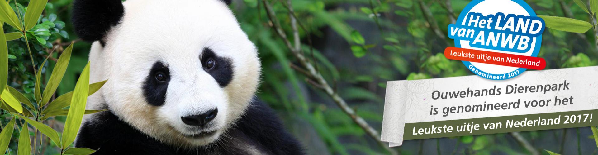 Leukste uitje - Ouwehands Dierenpark