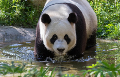 Vol dierbare ontmoetingen - Ouwehands Dierenpark
