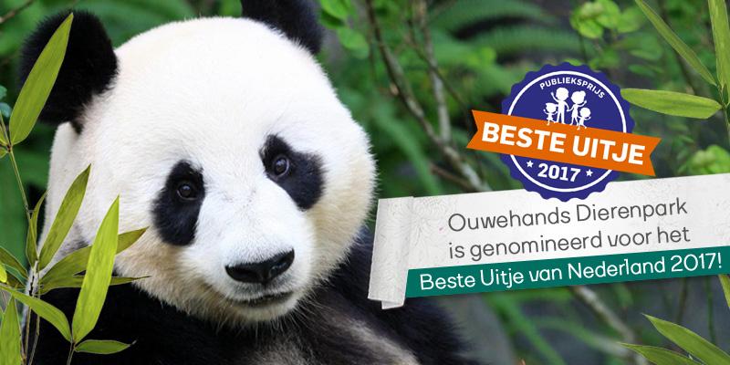 Zoo Avontuurlijk! - Ouwehands Dierenpark
